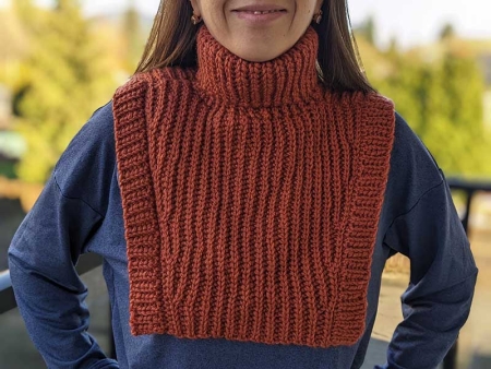 Free Crochet Warm Turtleneck Dickey Pattern - Crochet Bits