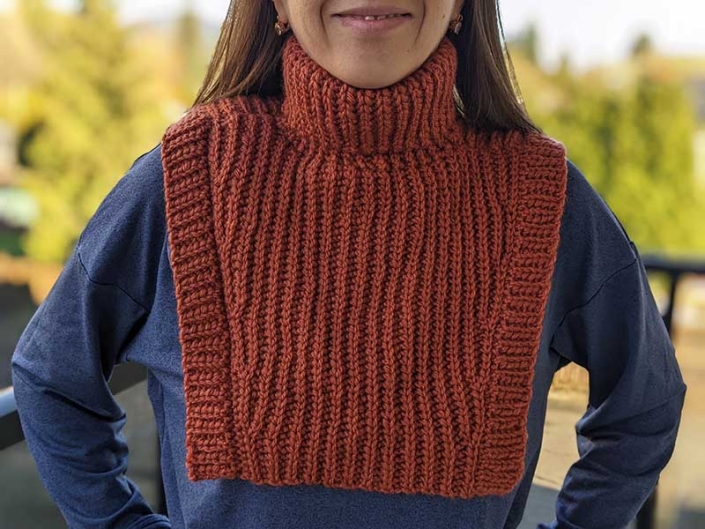 Free Crochet Warm Turtleneck Dickey Pattern - Crochet Bits