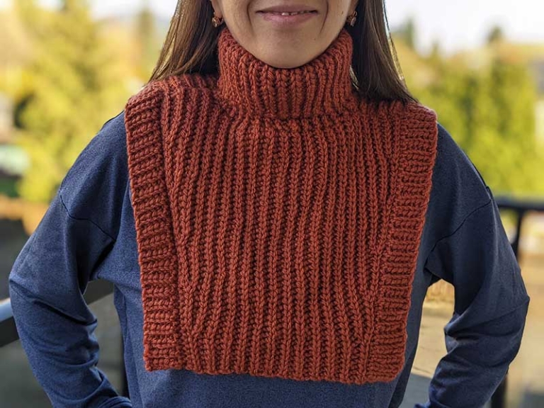 Free Crochet Warm Turtleneck Dickey Pattern - Crochet Bits